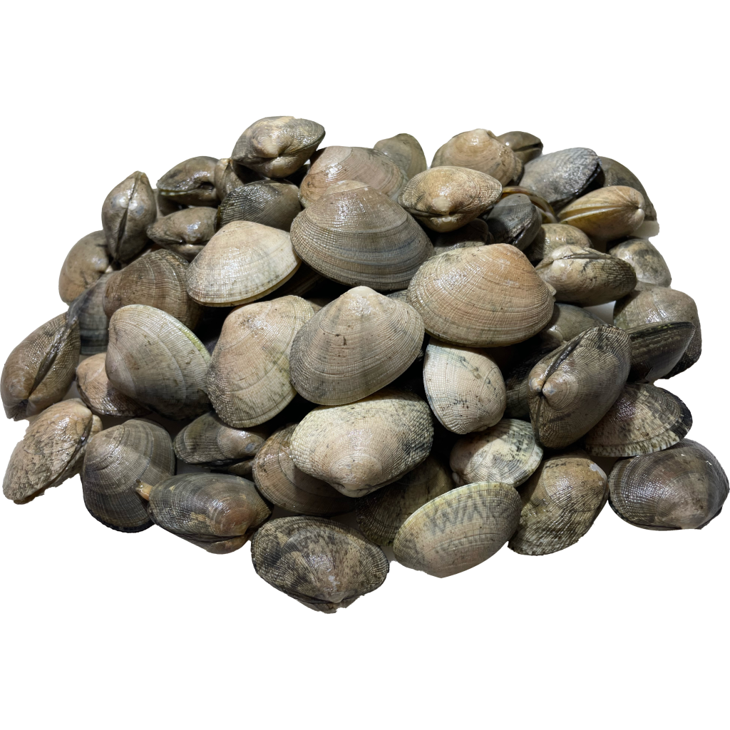 Almeja Fina (kg) - Ameixas Crespo